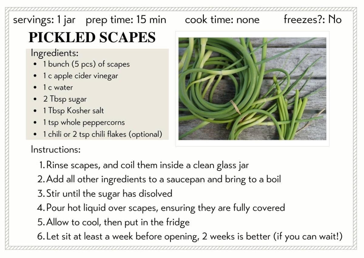 Fruit & Vegetable Recipes | Forsythe Family Farms